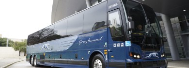 Discover Greyhound